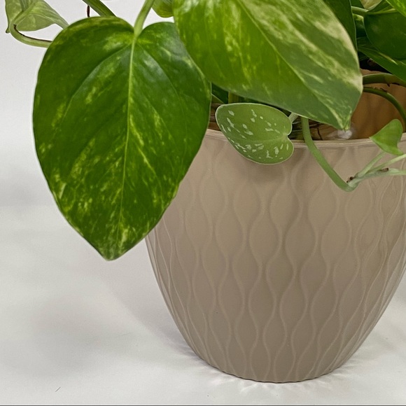 Accents | Retro Waves Plastic Planter Flower Pot | Poshmark